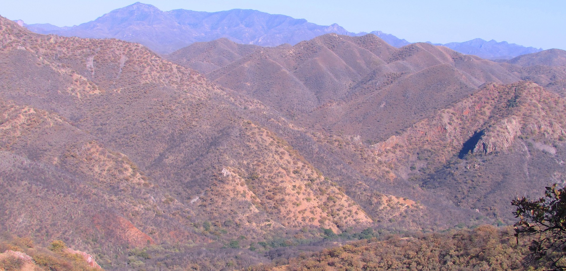 Aztec – Kootenay JV Intersects Broad, High-Grade Gold Mineralized Zone ...