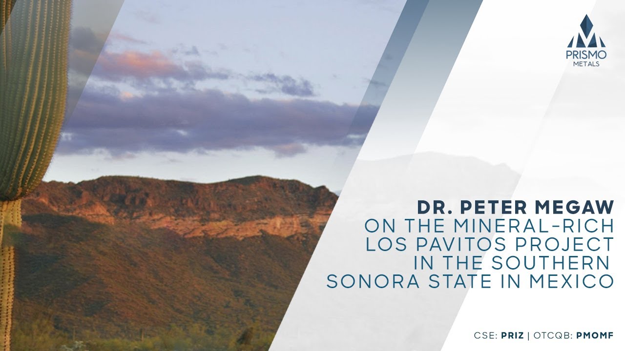 Dr. Peter Megaw on the Mineral-Rich Los Pavitos Project in the Southern ...