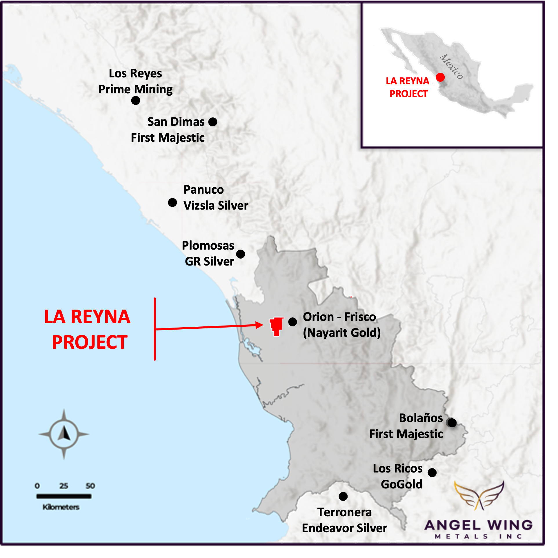 Angel Wing Metals Provides Exploration Update – La Reyna Project ...
